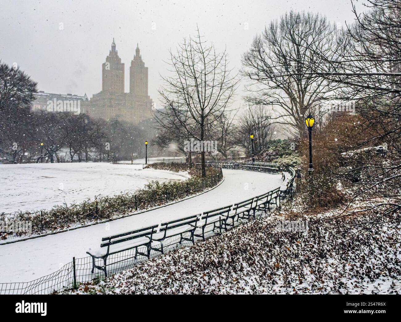 Central Park in winter , early morning in snowstorm, blizzard Stock ...