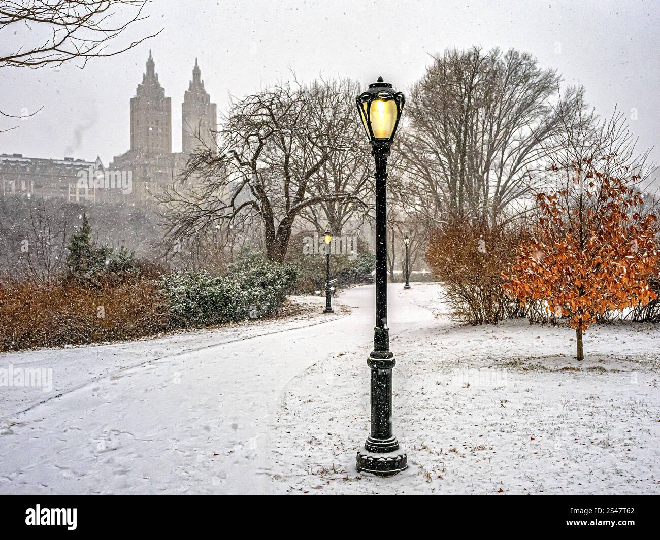Central Park in winter , early morning in snowstorm, blizzard Stock ...