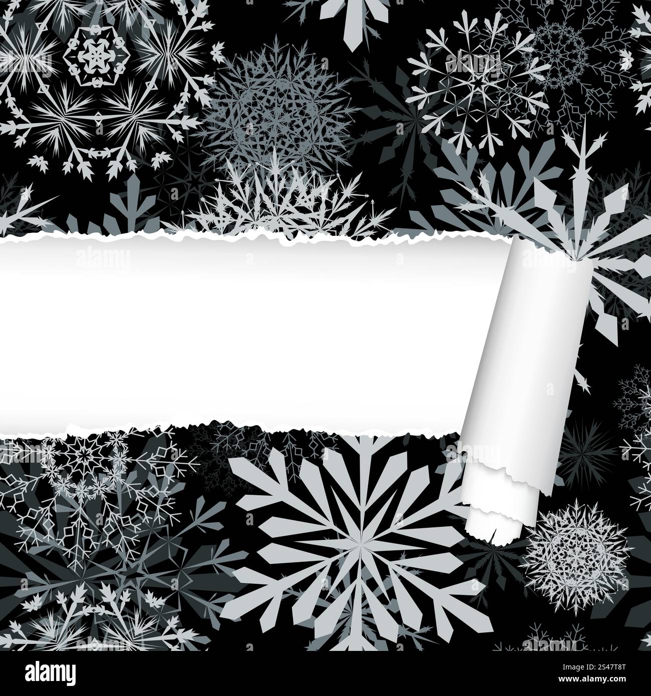 Snowflakes pattern with ripped torn paper stripe. Vector illustration ...