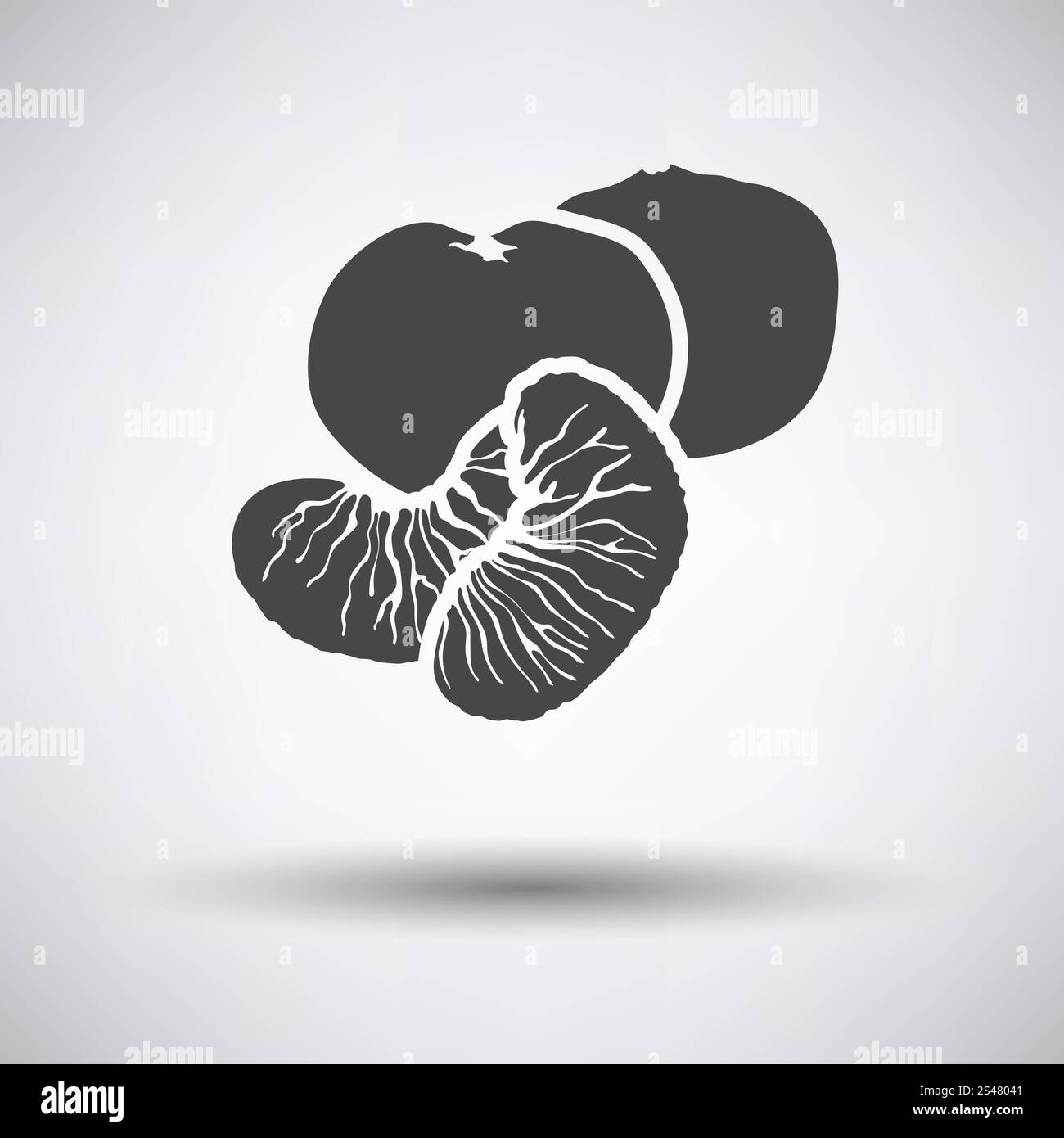 Mandarin icon on gray background with round shadow. Vector illustration ...