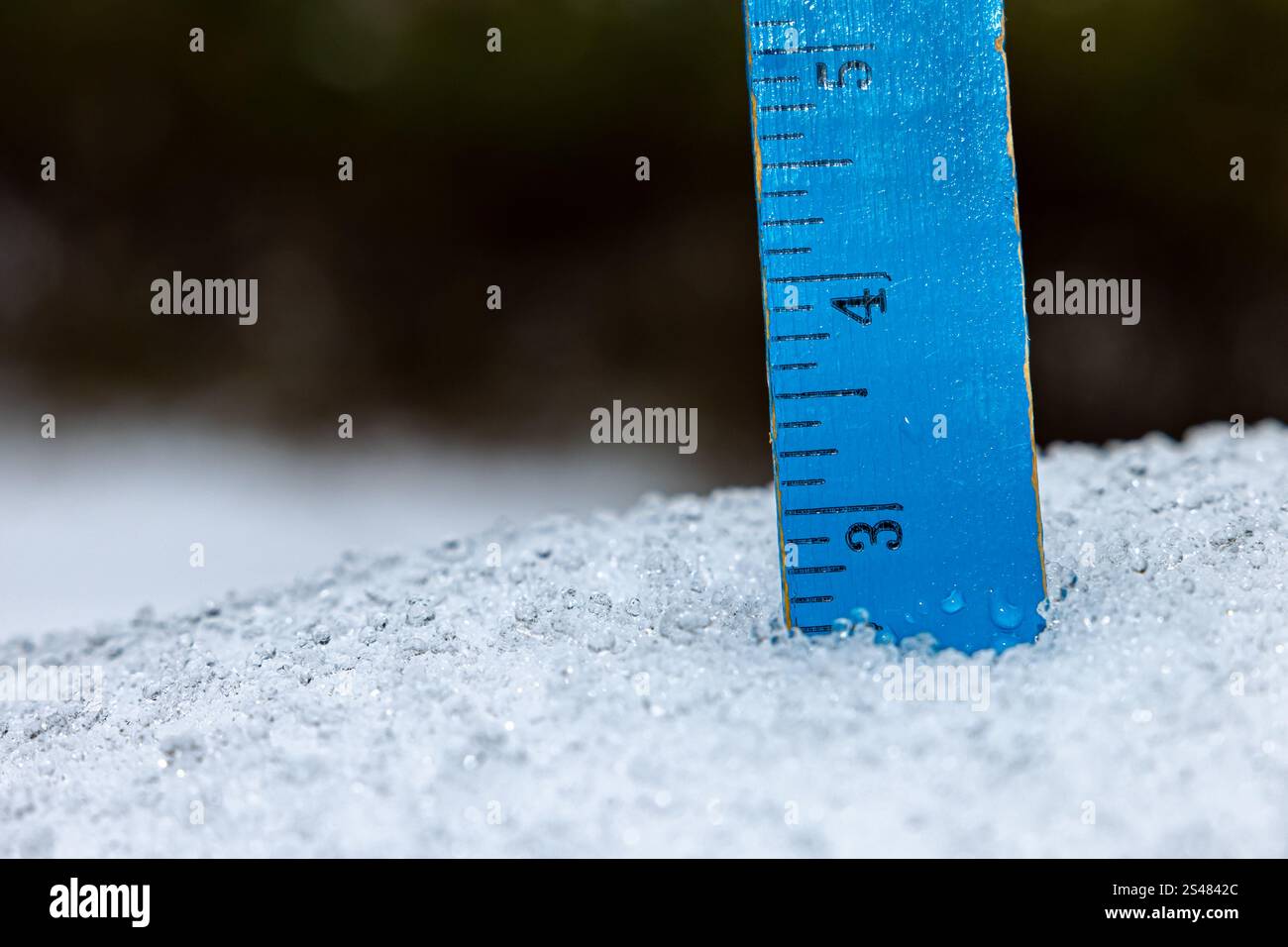Ruler in snow measuring snowfall depth and ice accumulation from winter ...