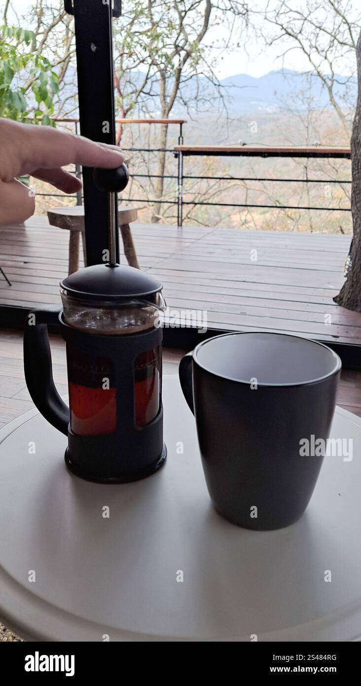 Preparing coffee in a French press or plunger coffee maker inside a ...