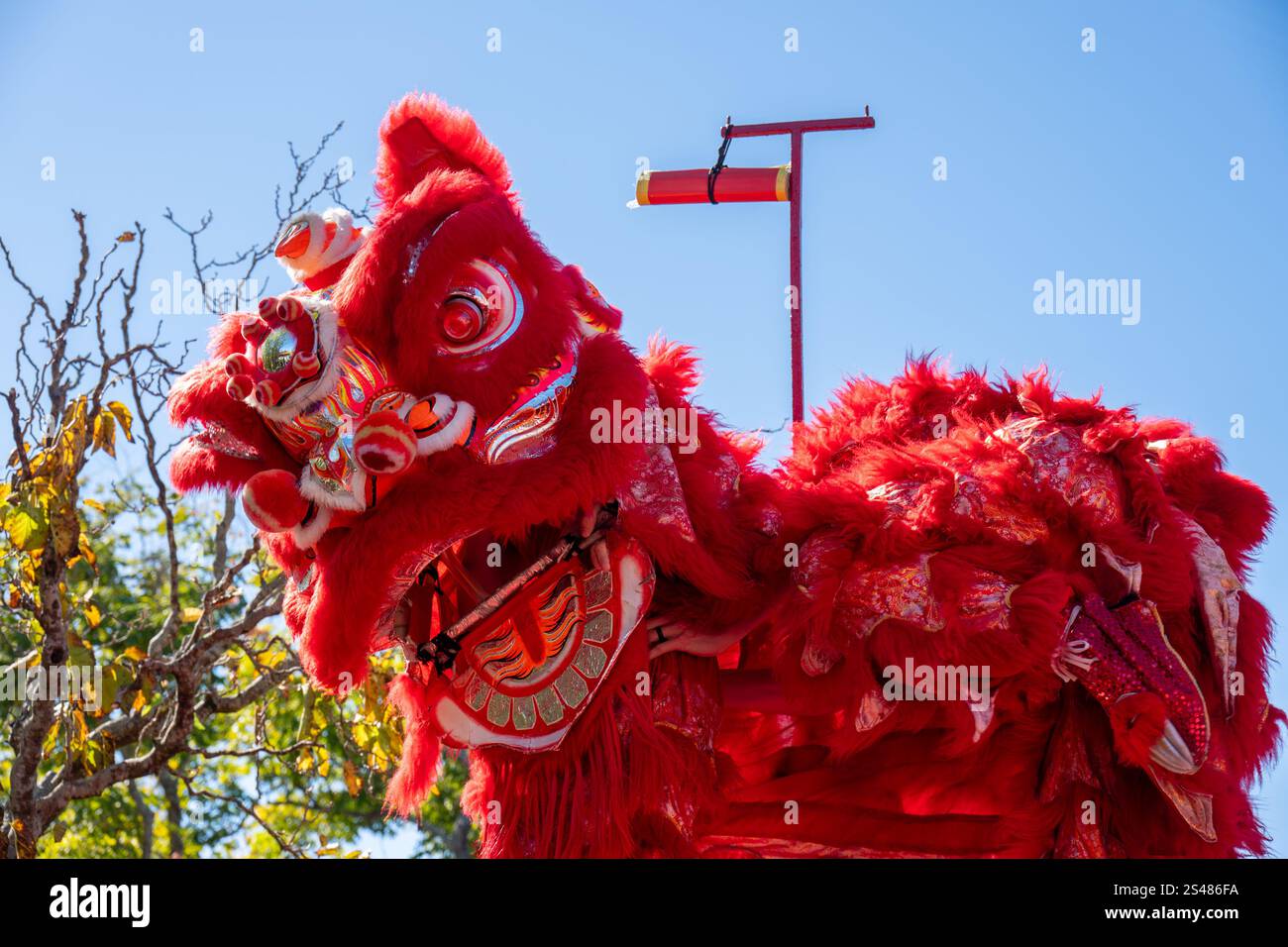 Large Chinese dragon puppet head It is a popular show during the ...