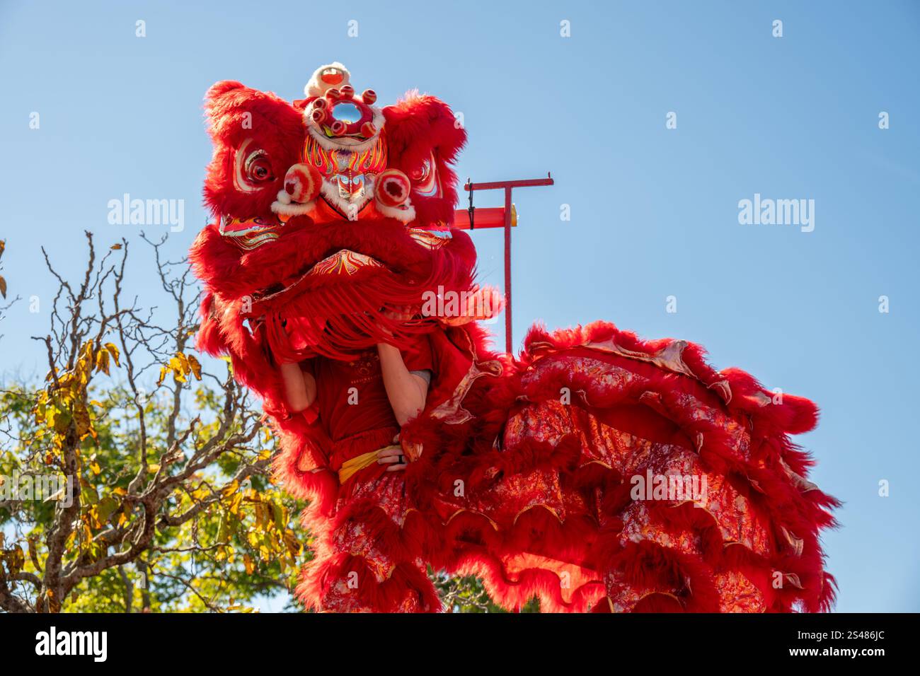 Large Chinese dragon puppet head It is a popular show during the ...