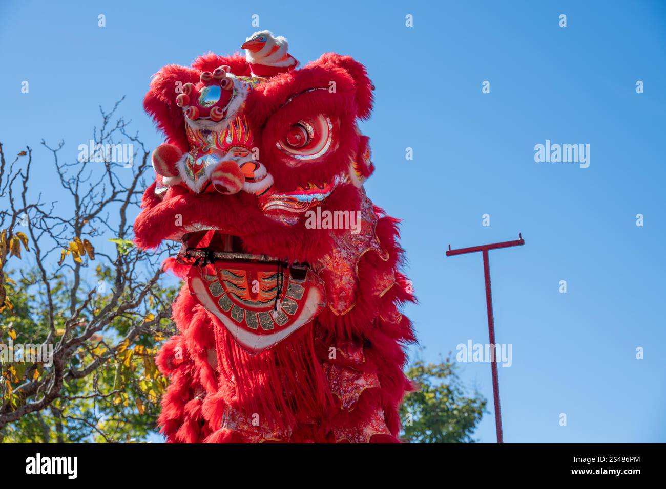 Large Chinese dragon puppet head It is a popular show during the ...