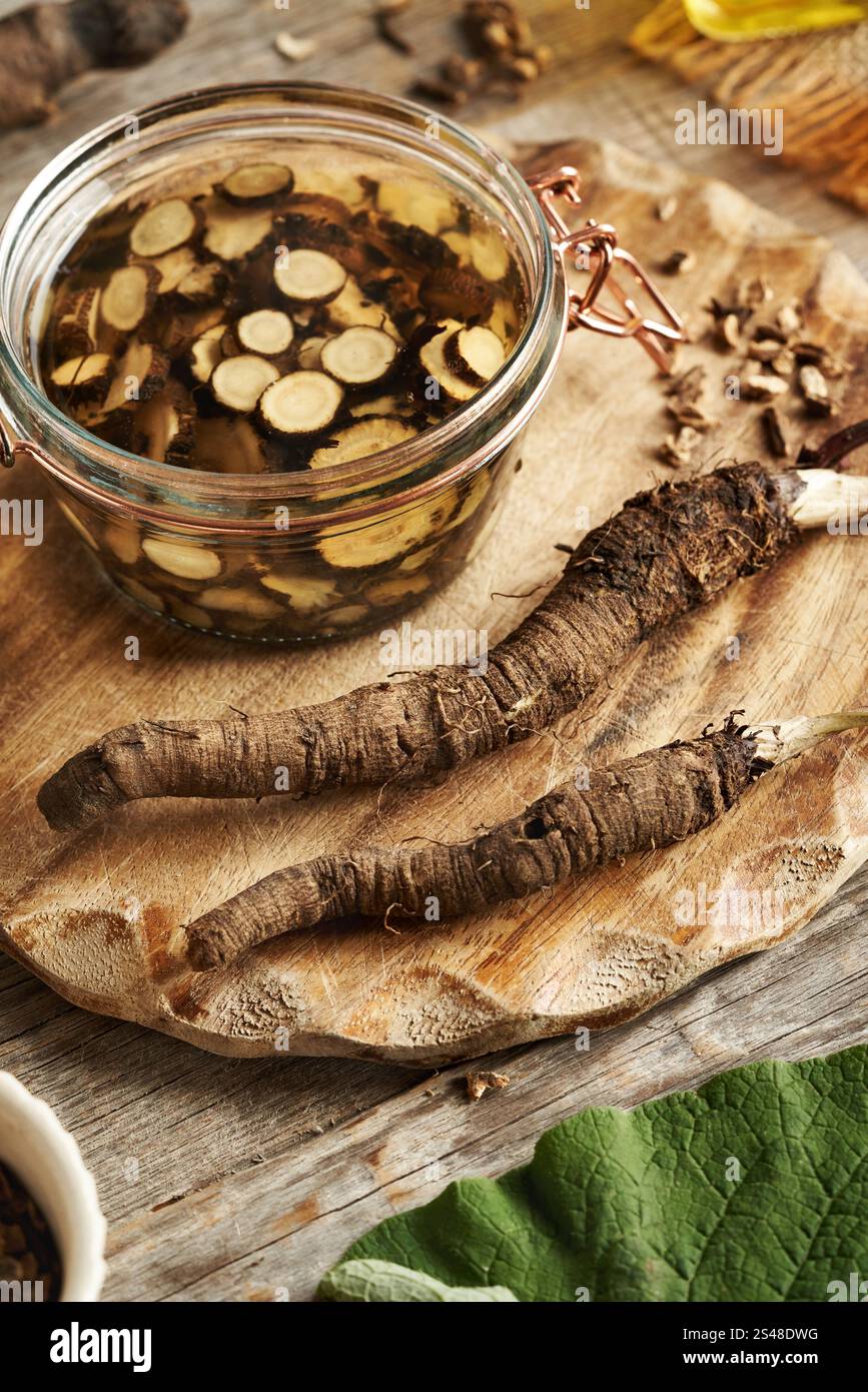 Preparation of herbal tincture from fresh wild burdock root Stock Photo ...