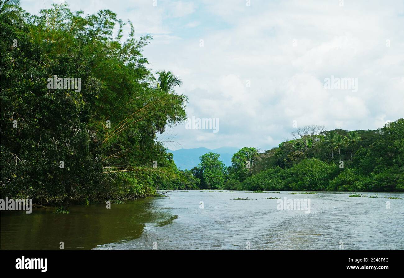 The Sierpe River in full flood in the jungle of southwestern Costa Rica ...