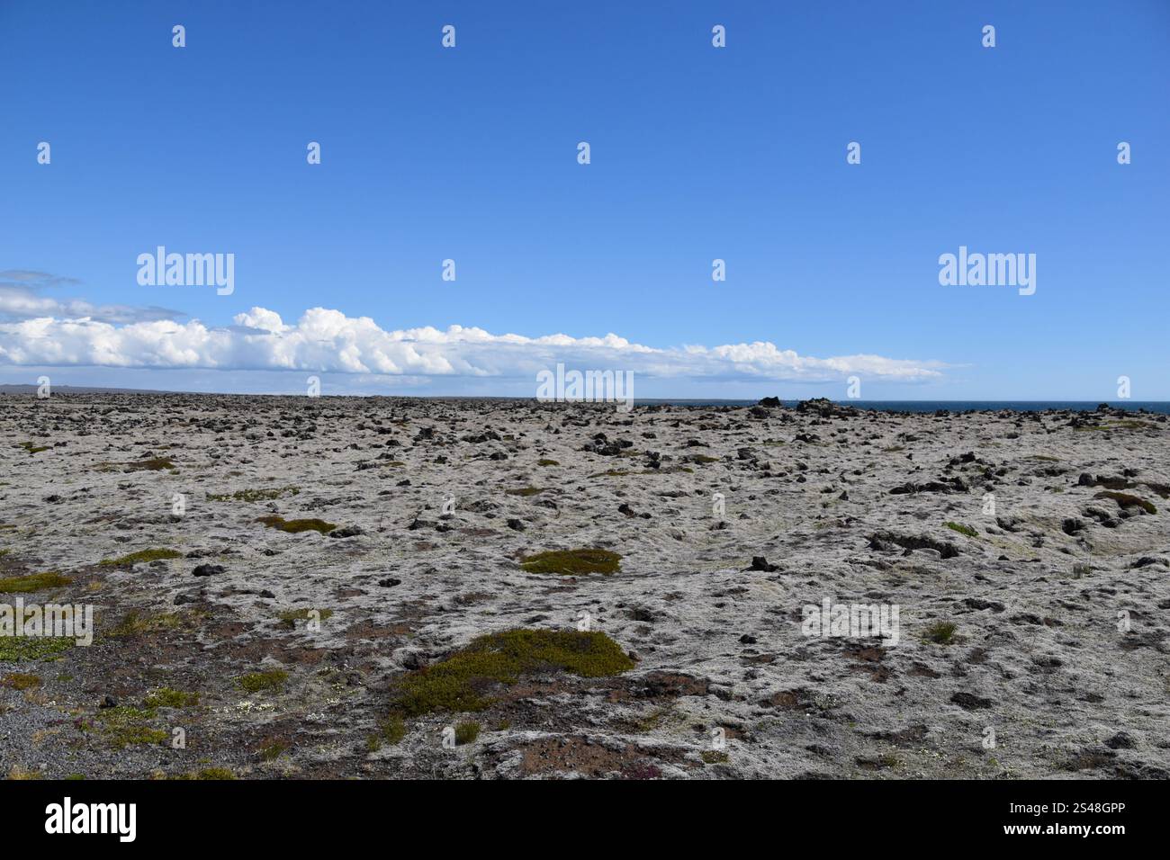 South Coast Iceland landscape by ocean with lava rock covered in white ...