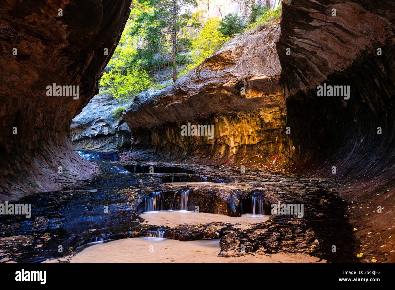 View of the Left Fork of the North Creek, also known as The Subway ...