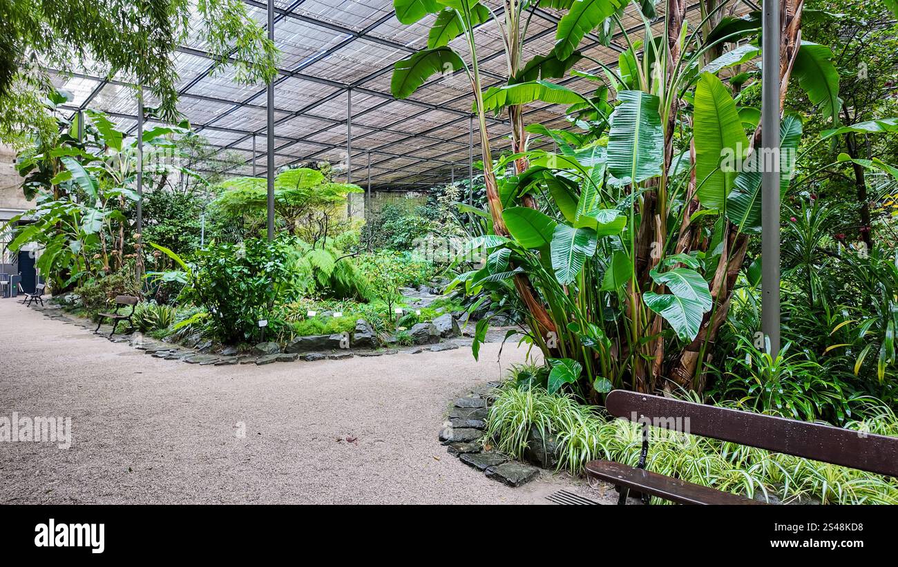 Inside The Estufa Fria greenhouse garden complex, showcasing diverse ...