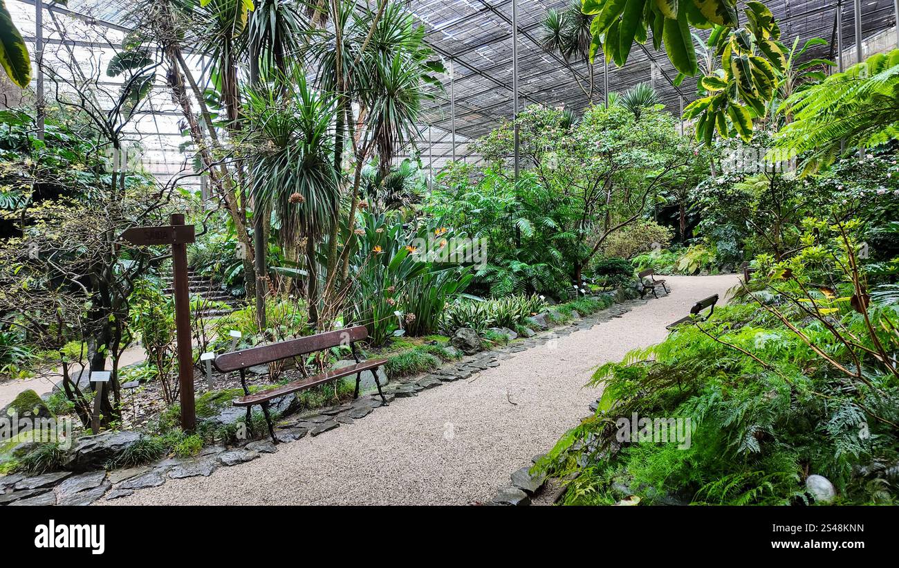 Inside The Estufa Fria greenhouse garden complex, showcasing diverse ...
