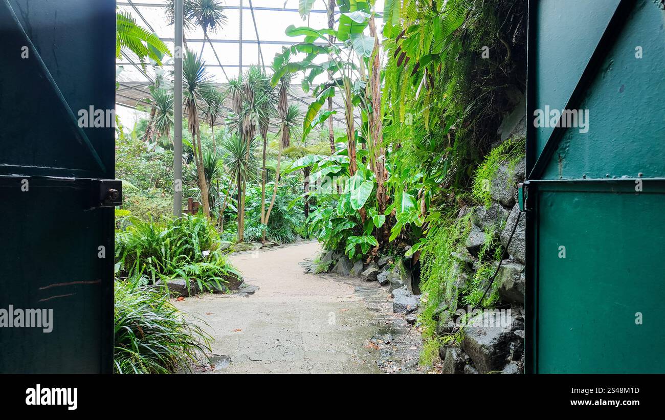 Inside The Estufa Fria greenhouse garden complex, showcasing diverse ...