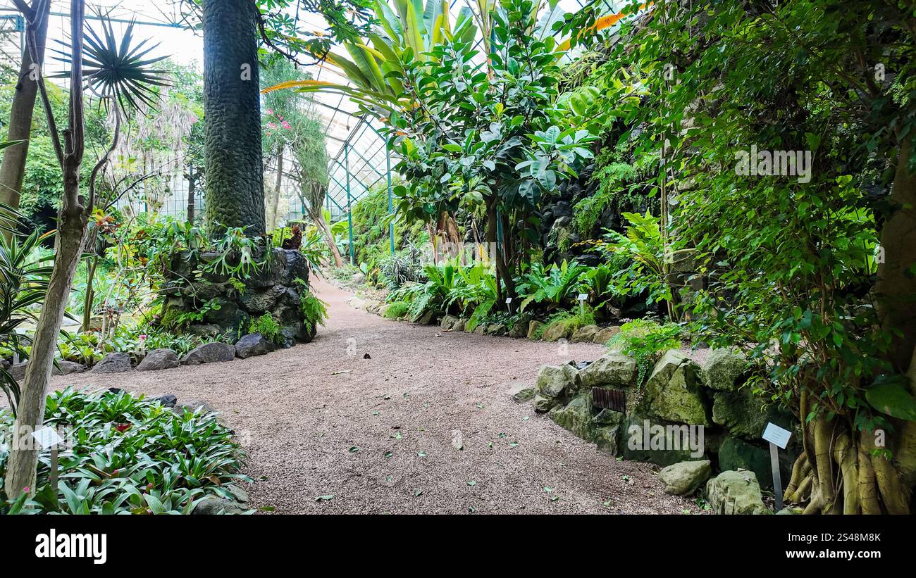 Inside The Estufa Fria greenhouse garden complex, showcasing diverse ...