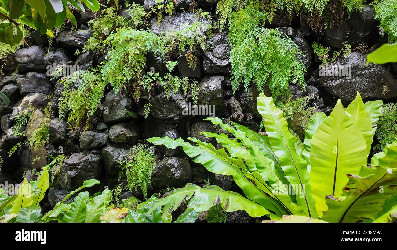 Inside The Estufa Fria greenhouse garden complex, showcasing diverse ...
