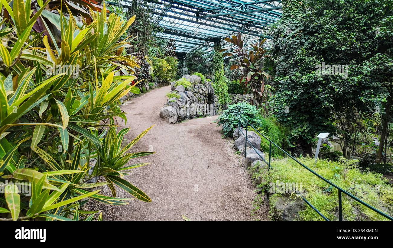 Inside The Estufa Fria greenhouse garden complex, showcasing diverse ...