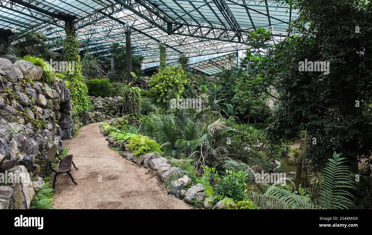 Inside The Estufa Fria greenhouse garden complex, showcasing diverse ...