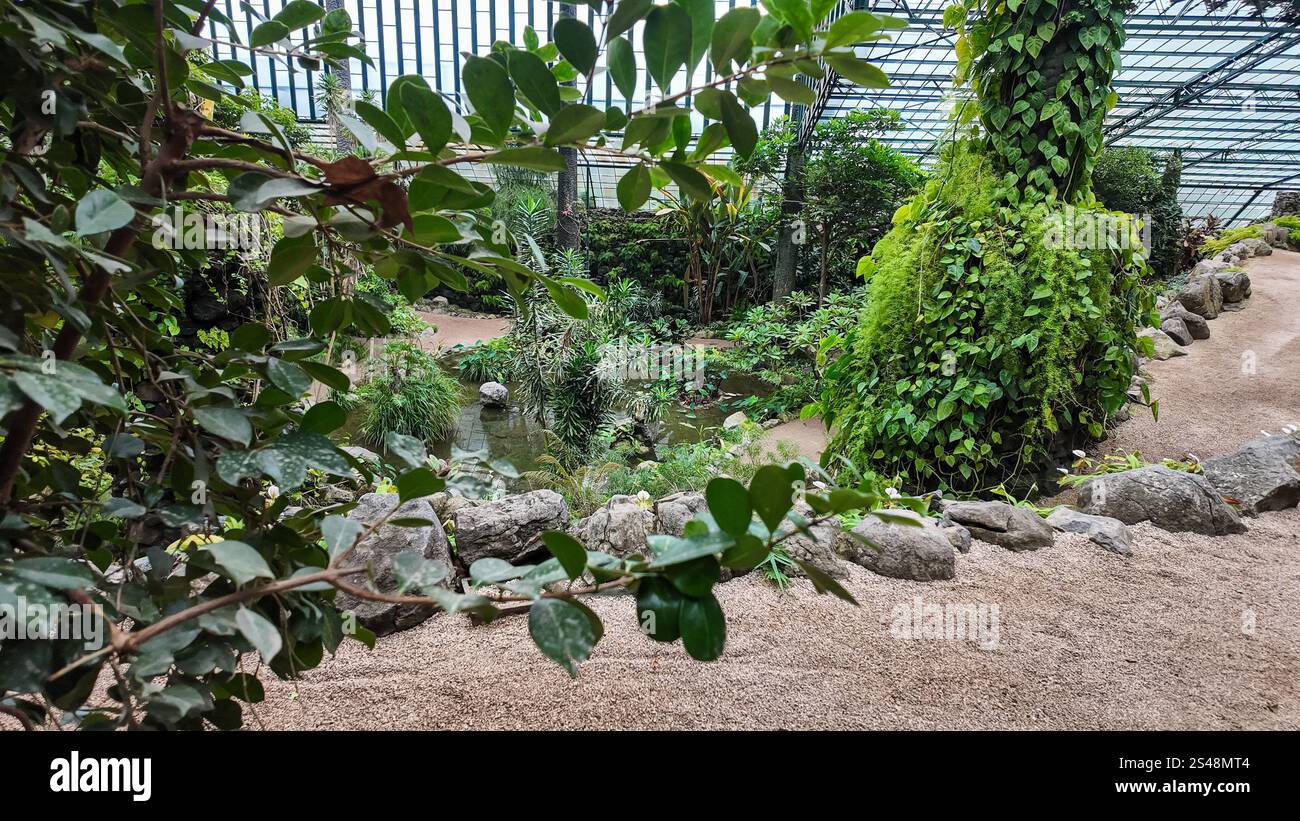 Inside The Estufa Fria greenhouse garden complex, showcasing diverse ...