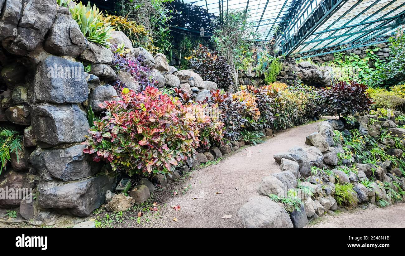 Inside The Estufa Fria greenhouse garden complex, showcasing diverse ...