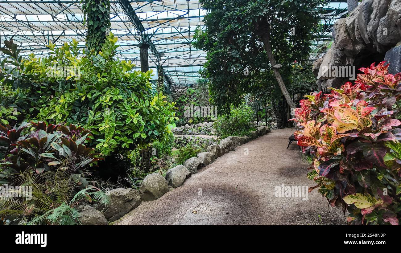 Inside The Estufa Fria greenhouse garden complex, showcasing diverse ...