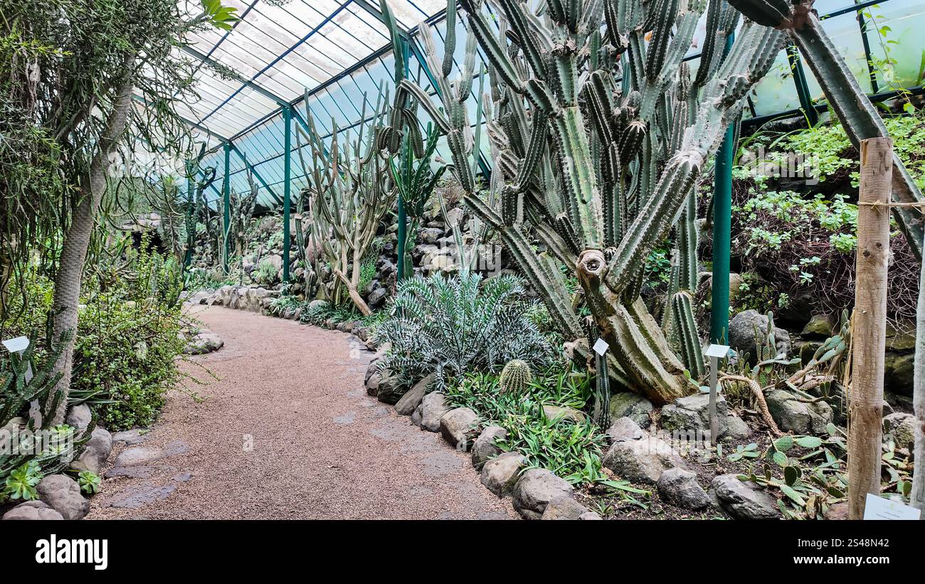Inside The Estufa Fria greenhouse garden complex, showcasing diverse ...