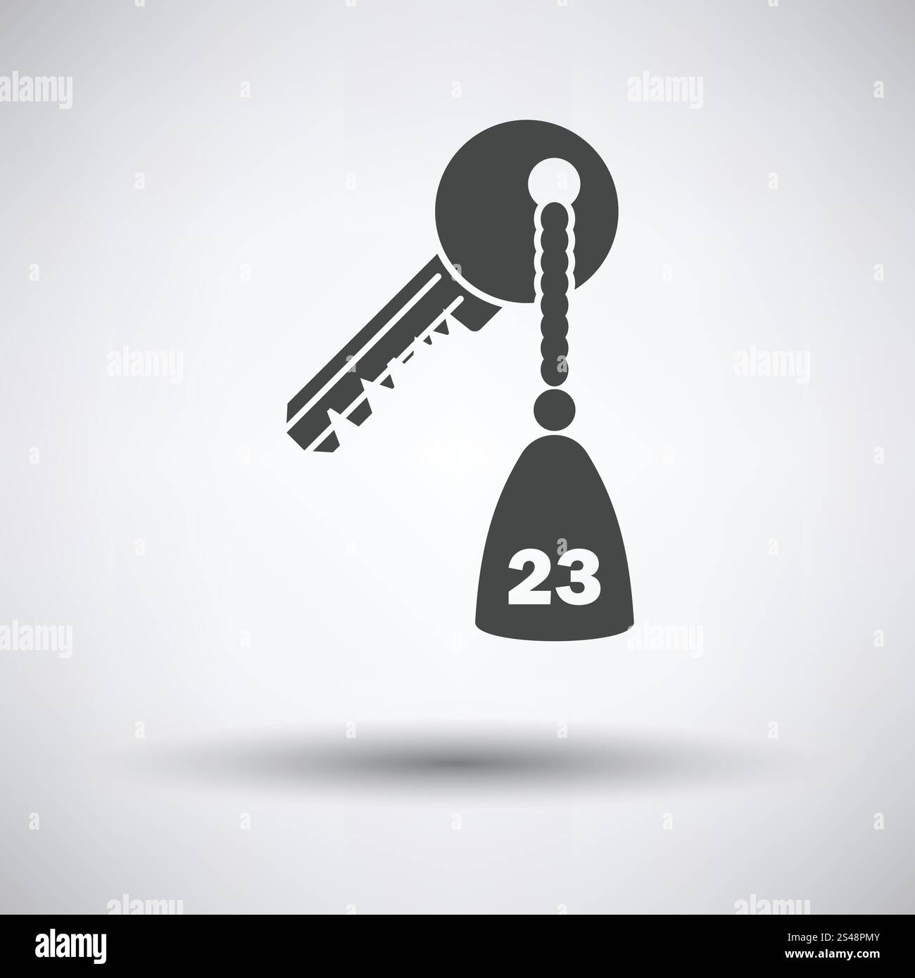 Hotel room key icon on gray background with round shadow. Vector ...