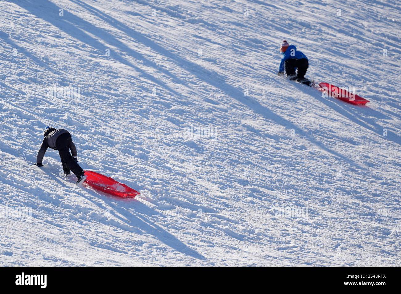 Kids drag their sleds up hill as they take advantage of a snow day to ...