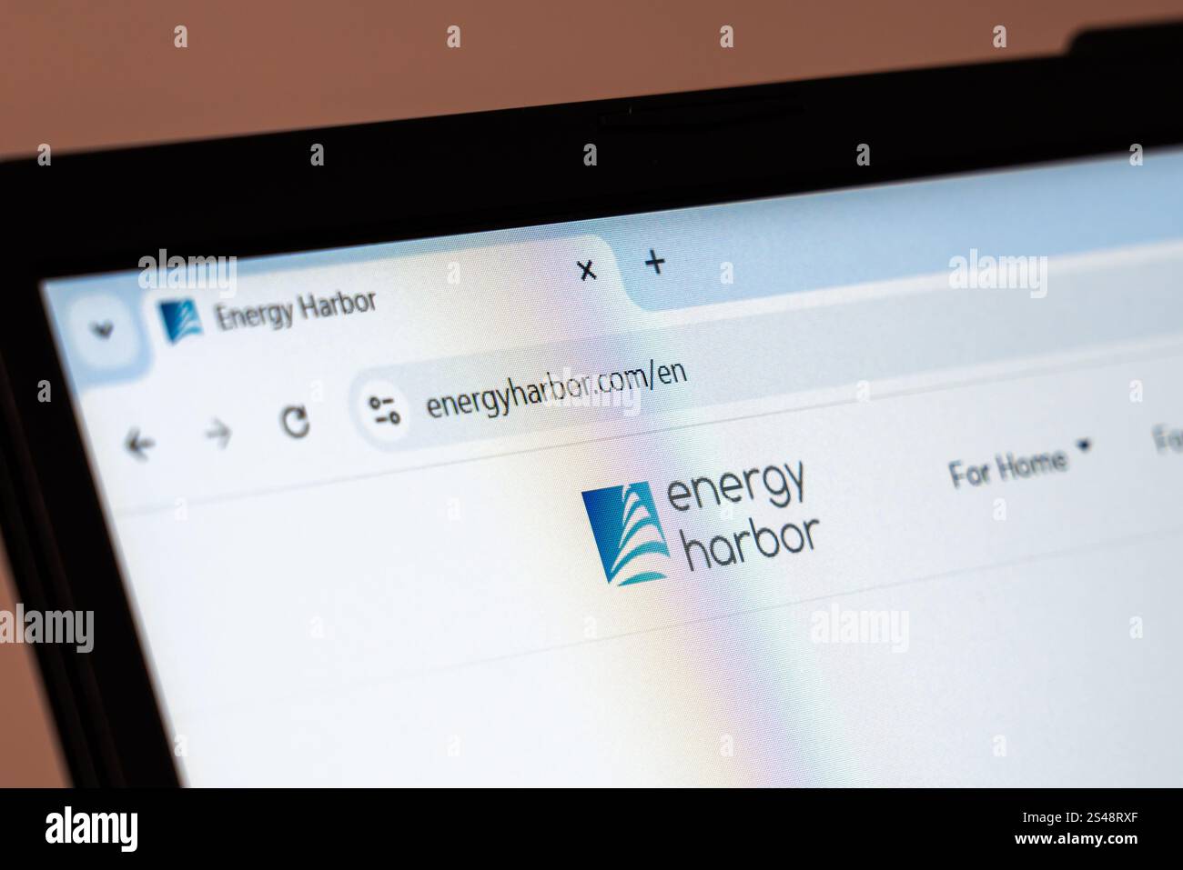 New York, USA - January 10, 2025: Energy Harbor website providing ...