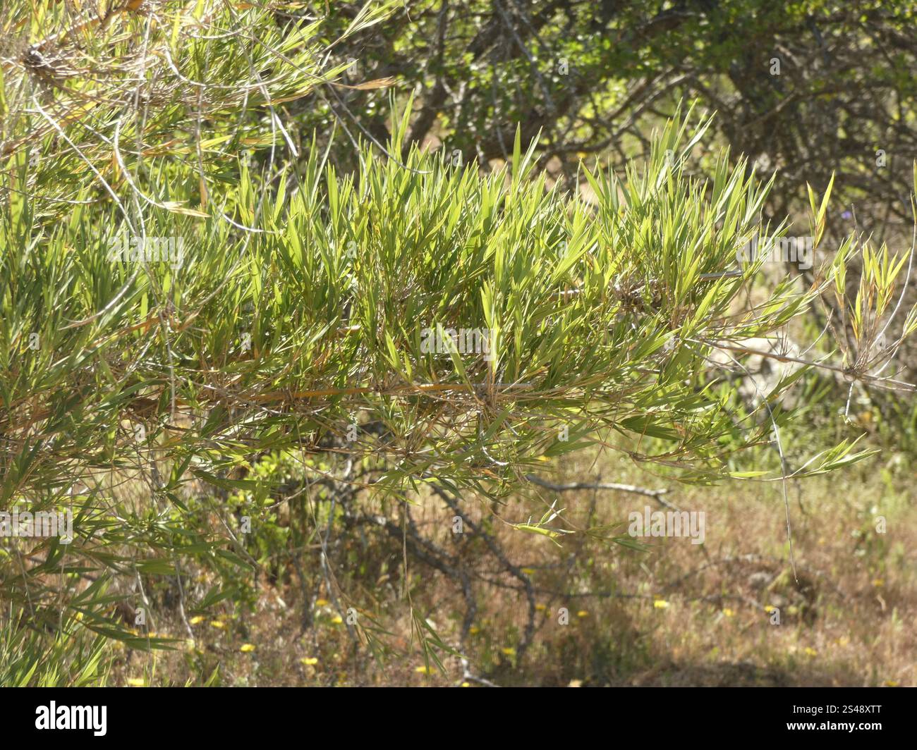 Taihuen hi-res stock photography and images - Alamy