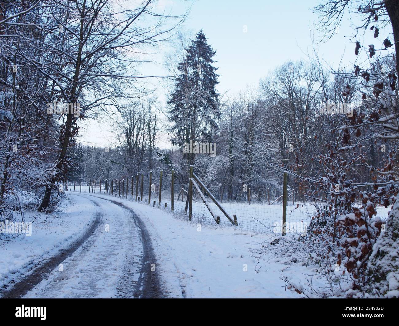 Snow winter landscape at the wildlife enclosures at the Kottenforst ...