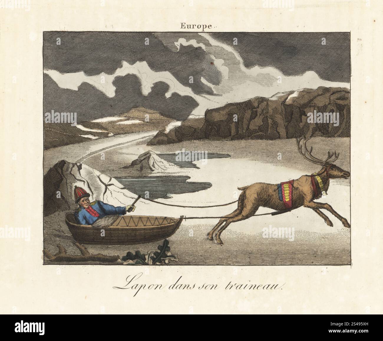 Sami man or Laplander in a sleigh drawn by a reindeer, Rangifer ...