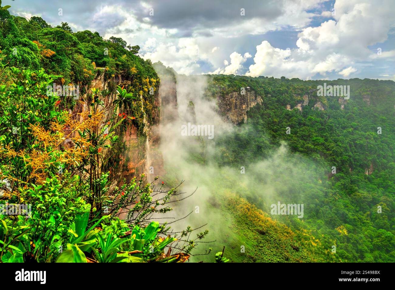 Kaieteur Falls in Amazon rainforest of Guyana, South America. One of ...