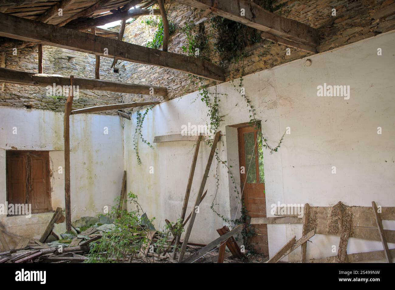Nature Reclaims an Abandoned Wooden-Top Home Stock Photo - Alamy