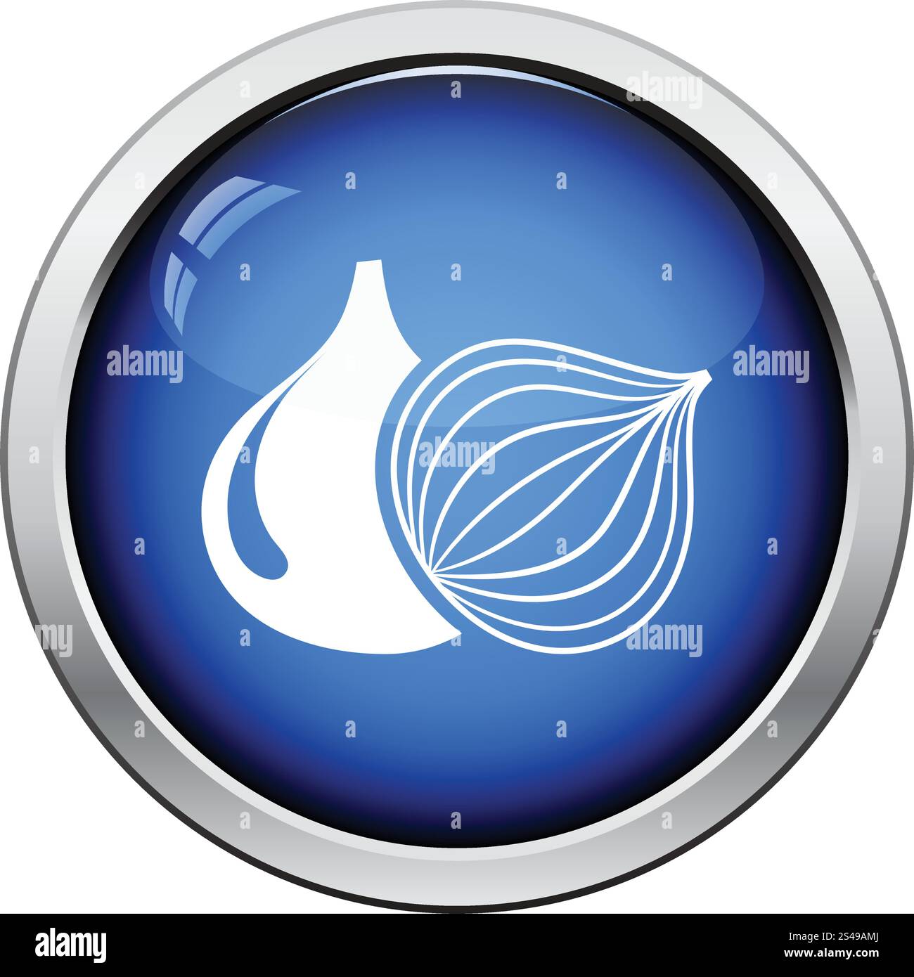 Onion icon. Glossy button design. Vector illustration Stock Vector ...