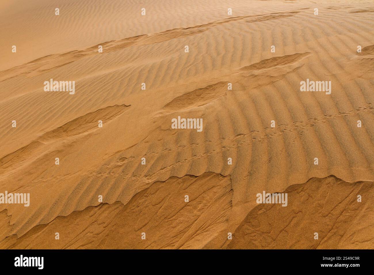 Structures in the sand, Sossusvlei, Namib Desert, Namibia, Africa Stock ...