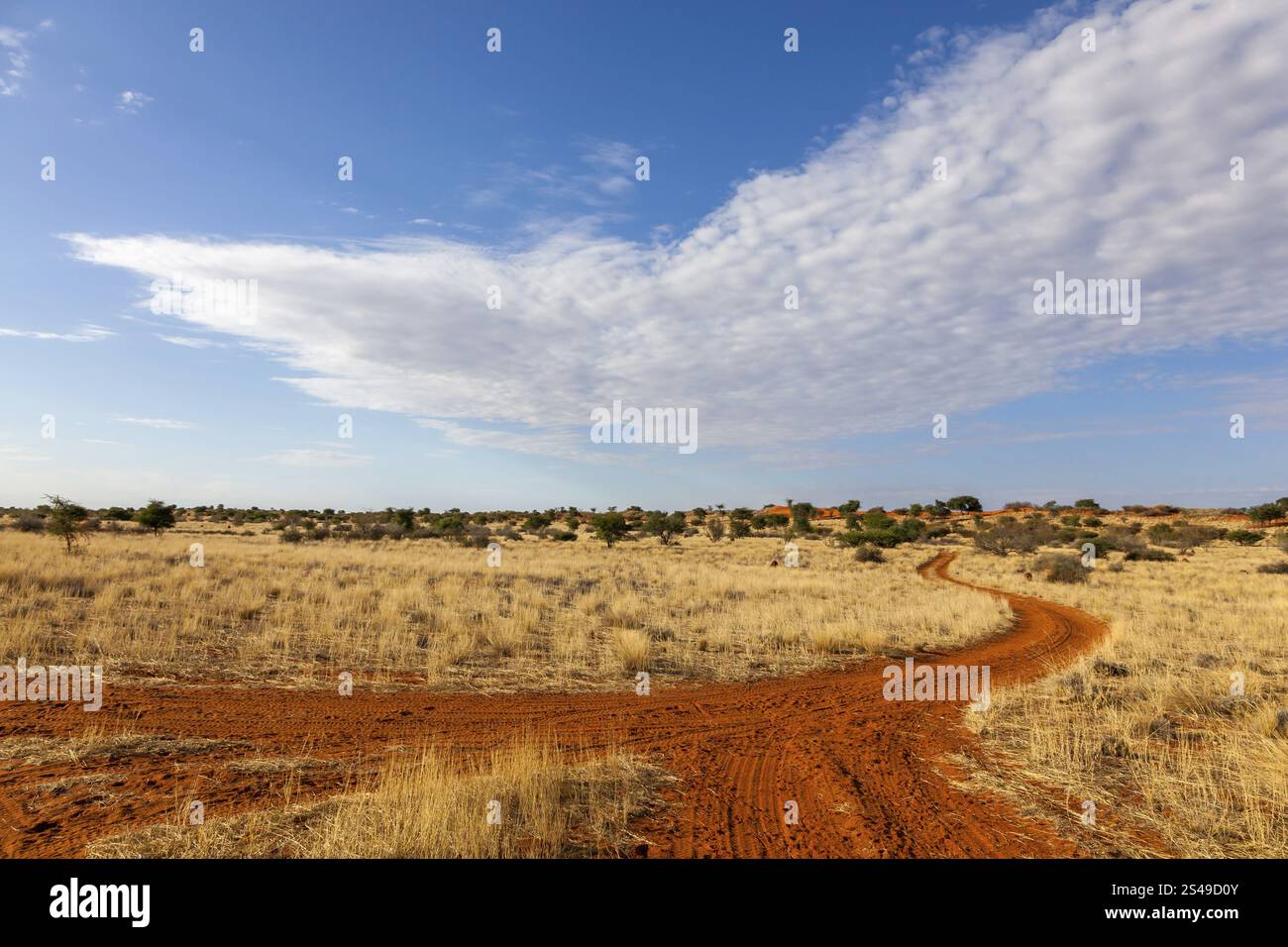 A sandy desert path winds its way through a dry landscape under a ...