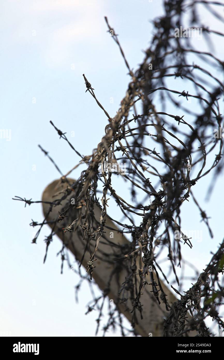 Barbed wire by a fence, Austria, Europe Stock Photo - Alamy