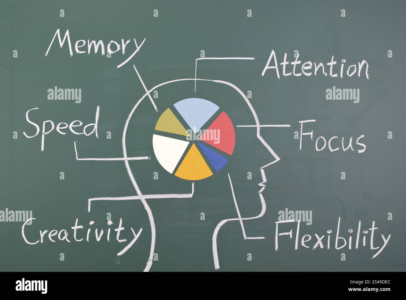 Concept of six ability in human brain. Graph with colorful chart on ...
