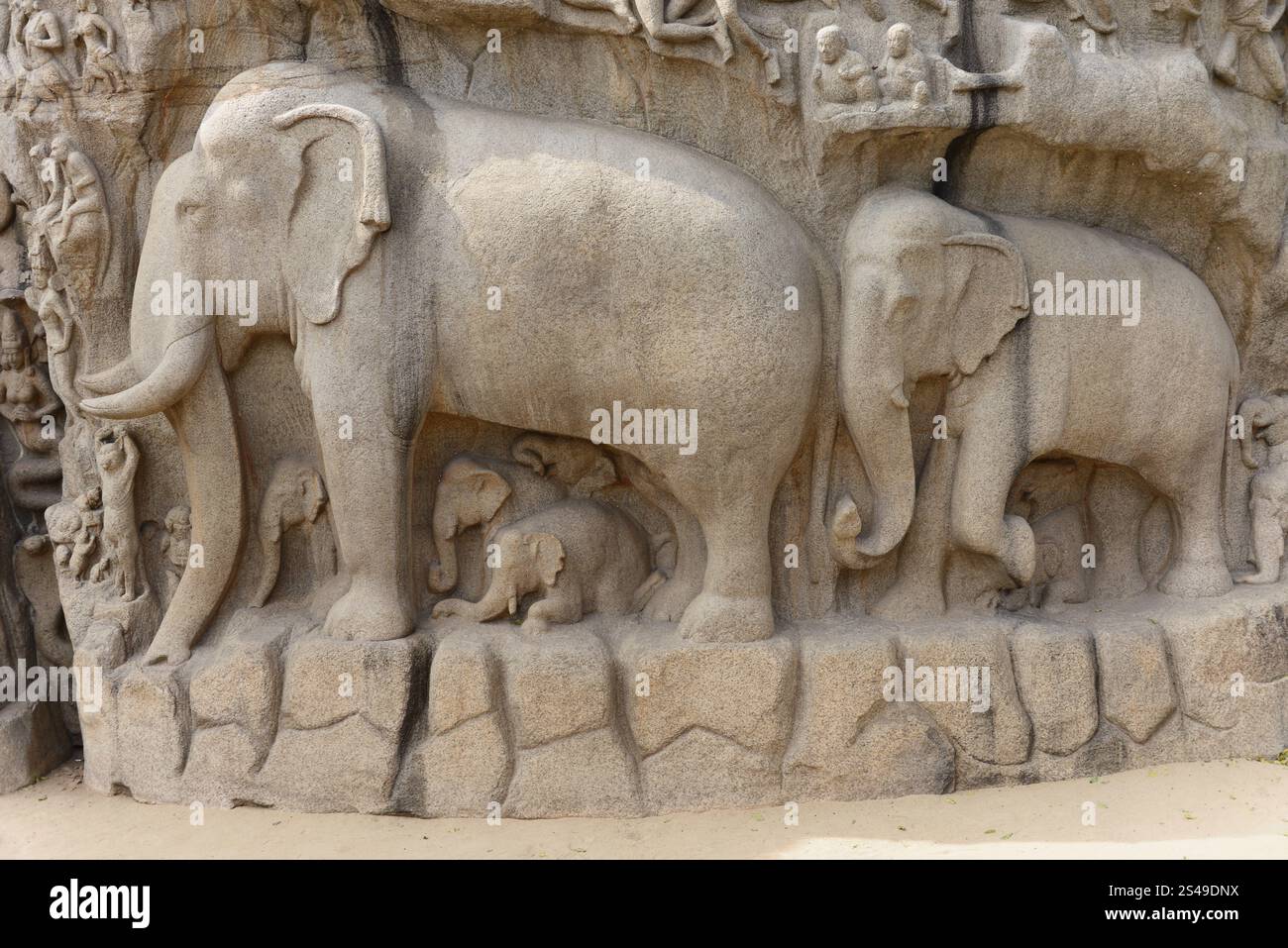 Descent of Ganga, bas-relief, detail, stone relief with elephant family ...