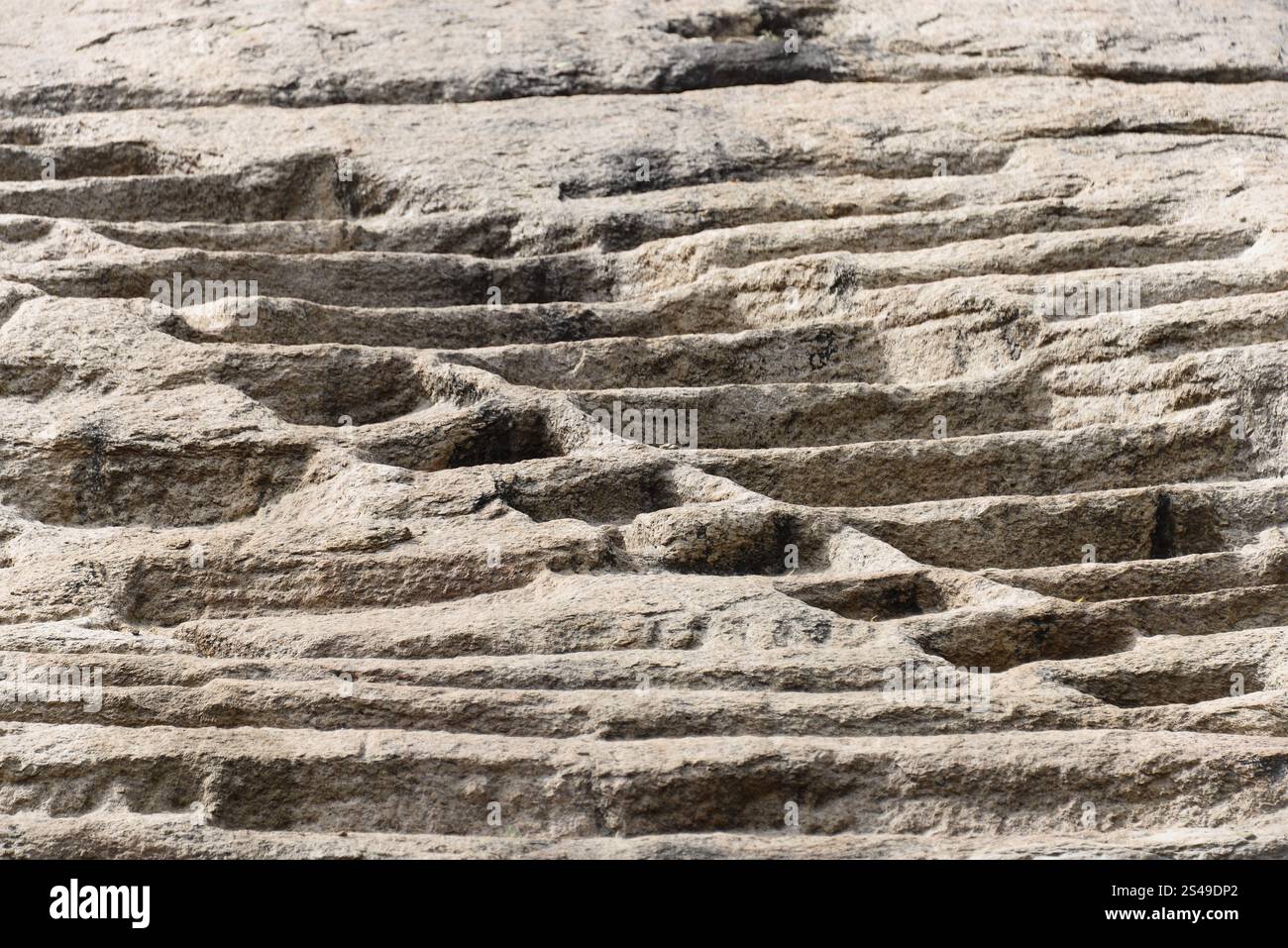 Close-up of an eroded rock surface with distinct texture, Mahabalipuram ...