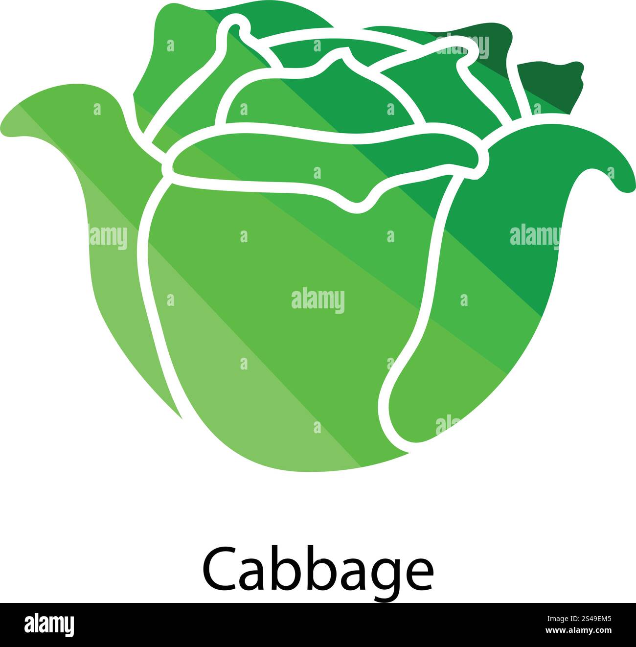Cabbage icon. Flat color design. Vector illustration Stock Vector Image ...