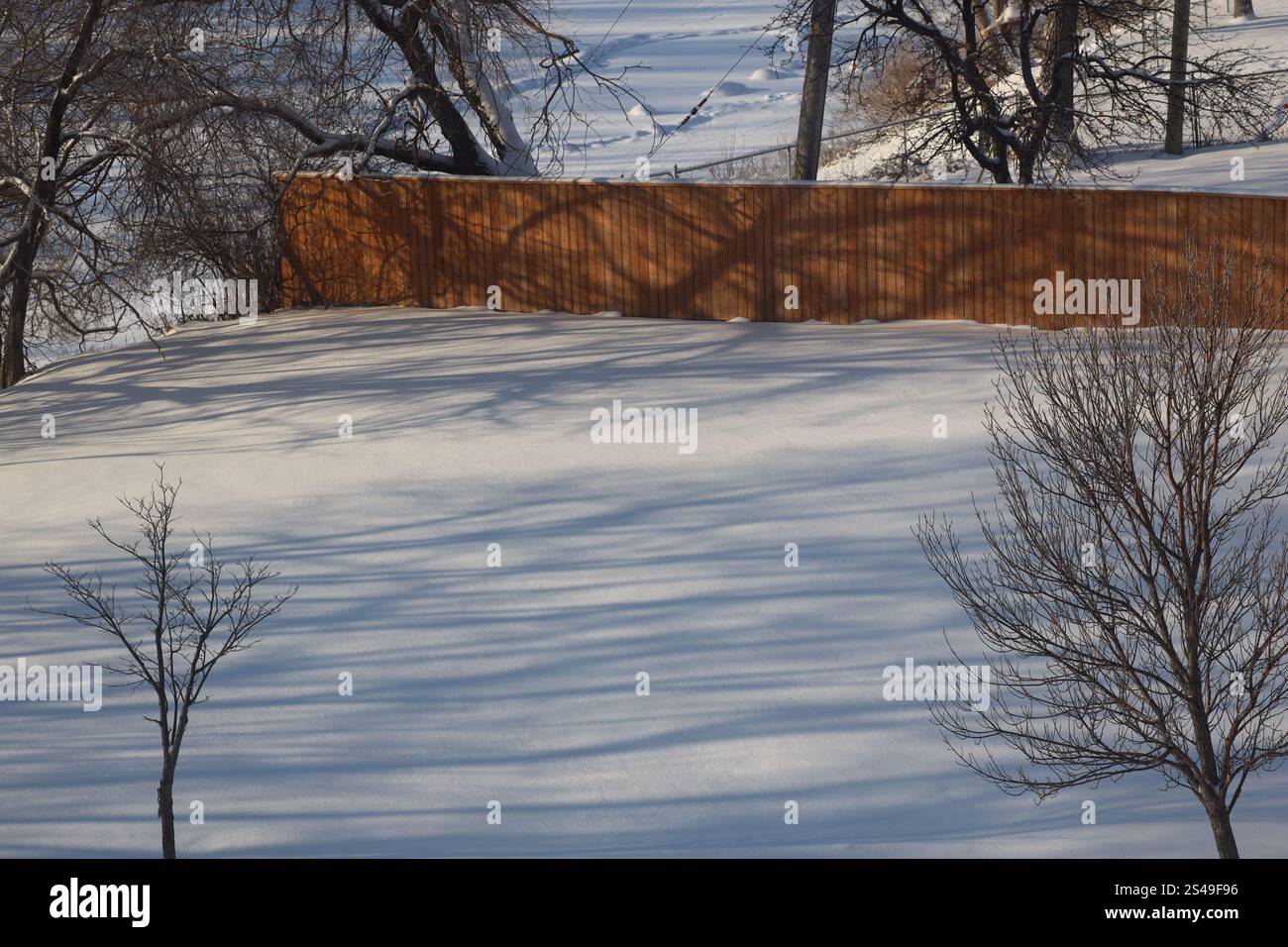 Sunlight casts shadows on trees hi-res stock photography and images - Alamy