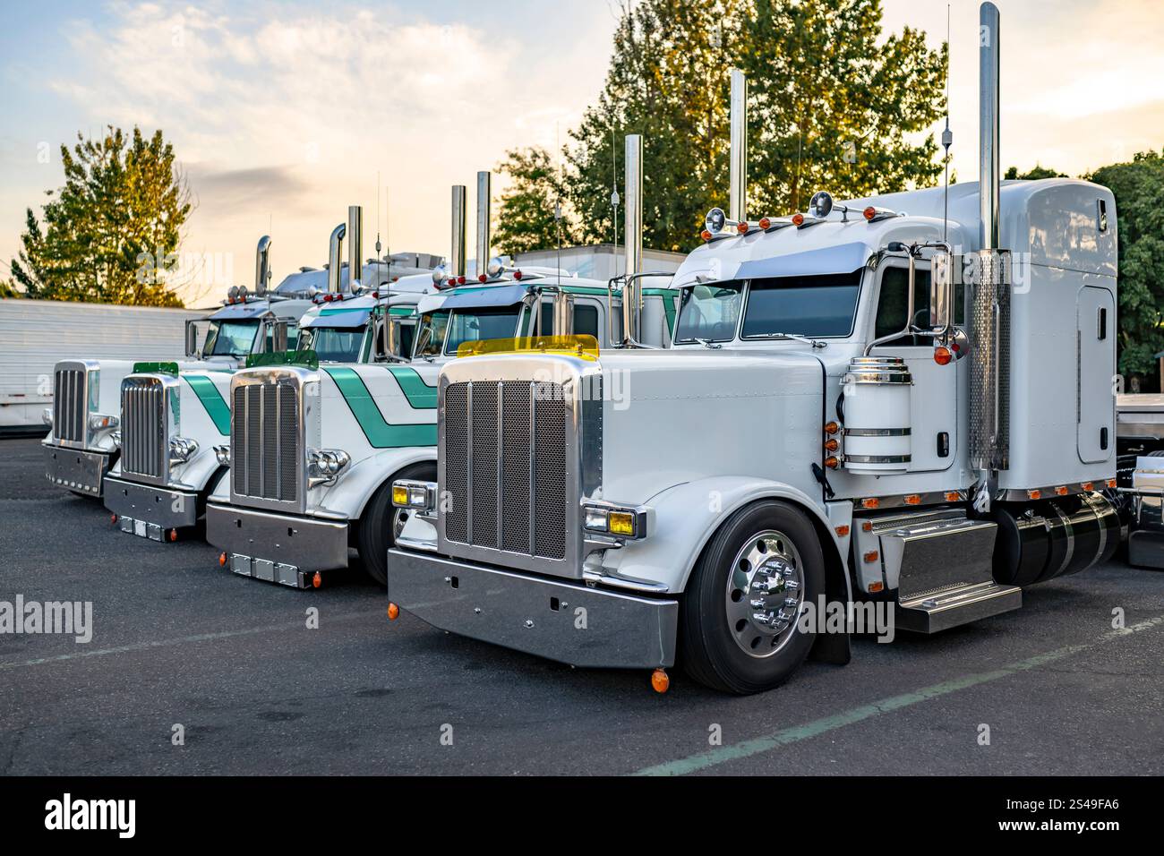 Classic American big rig white semi trucks tractors with vertical ...