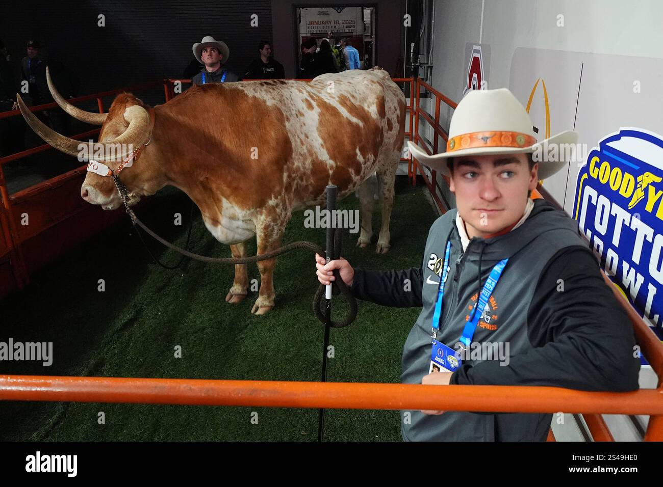 Travis Fatjo, right, holds onto Bevo, the mascot for Texas, inside a ...