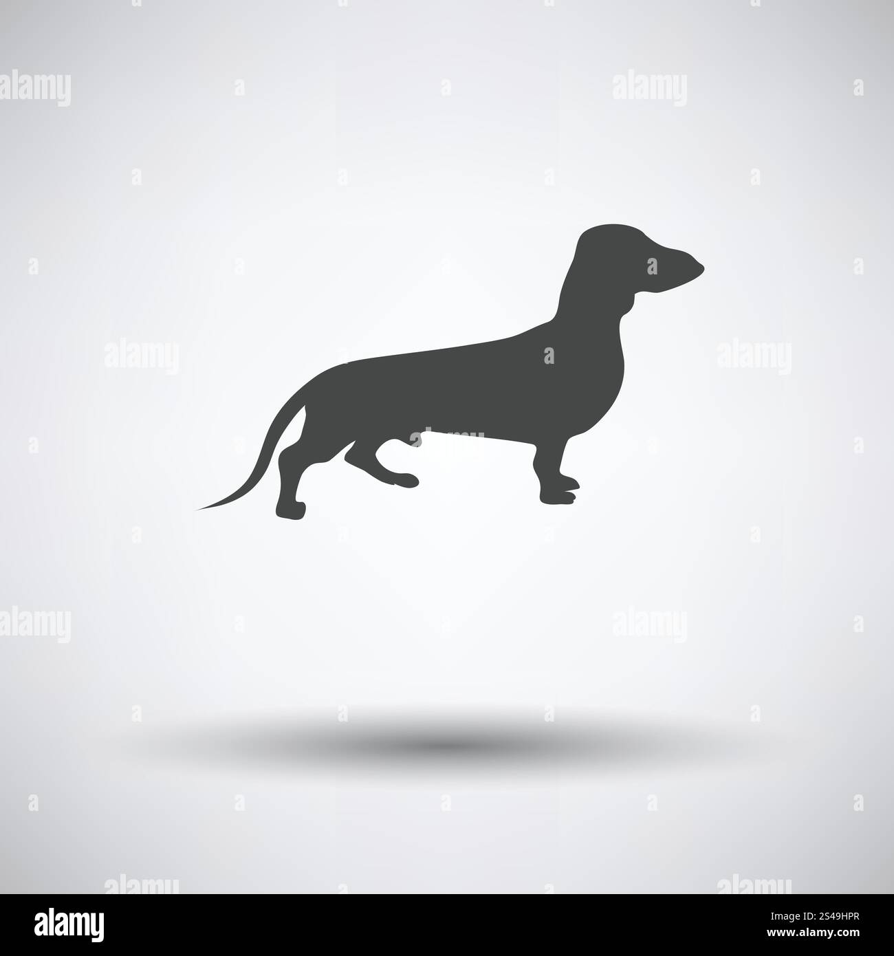 Dachshund dog icon on gray background with round shadow. Vector ...
