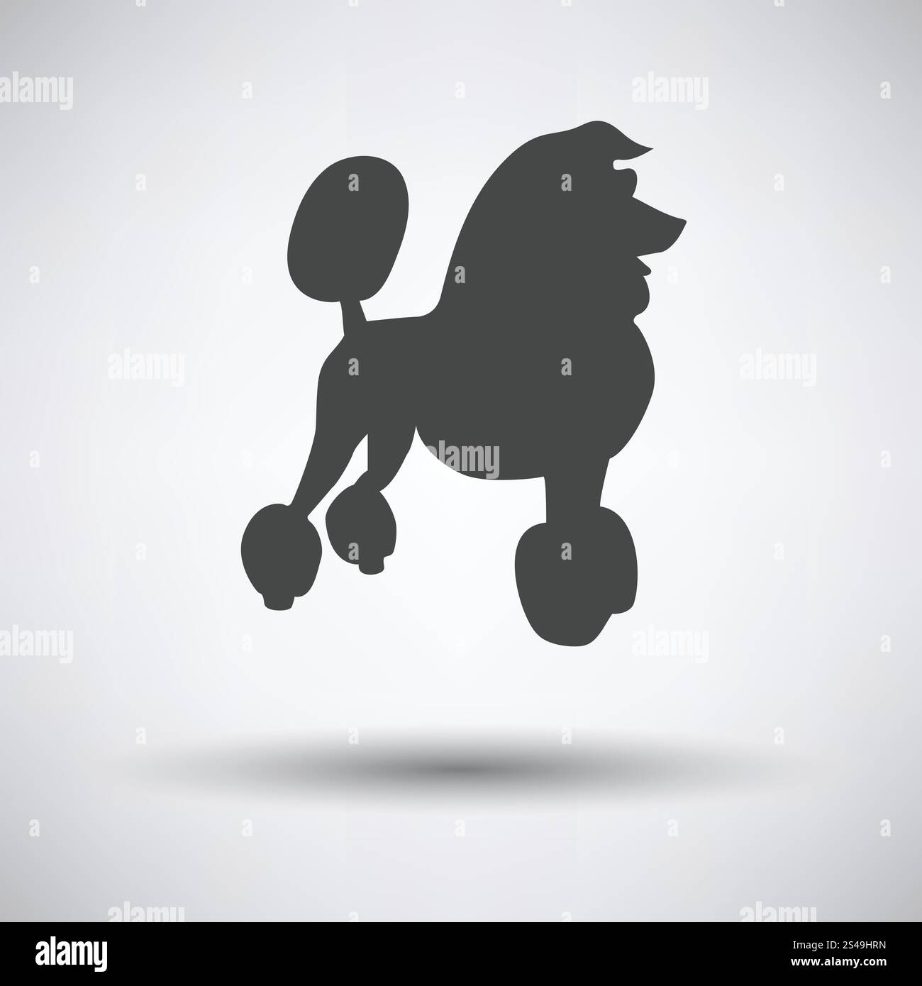 Poodle icon on gray background with round shadow. Vector illustration ...