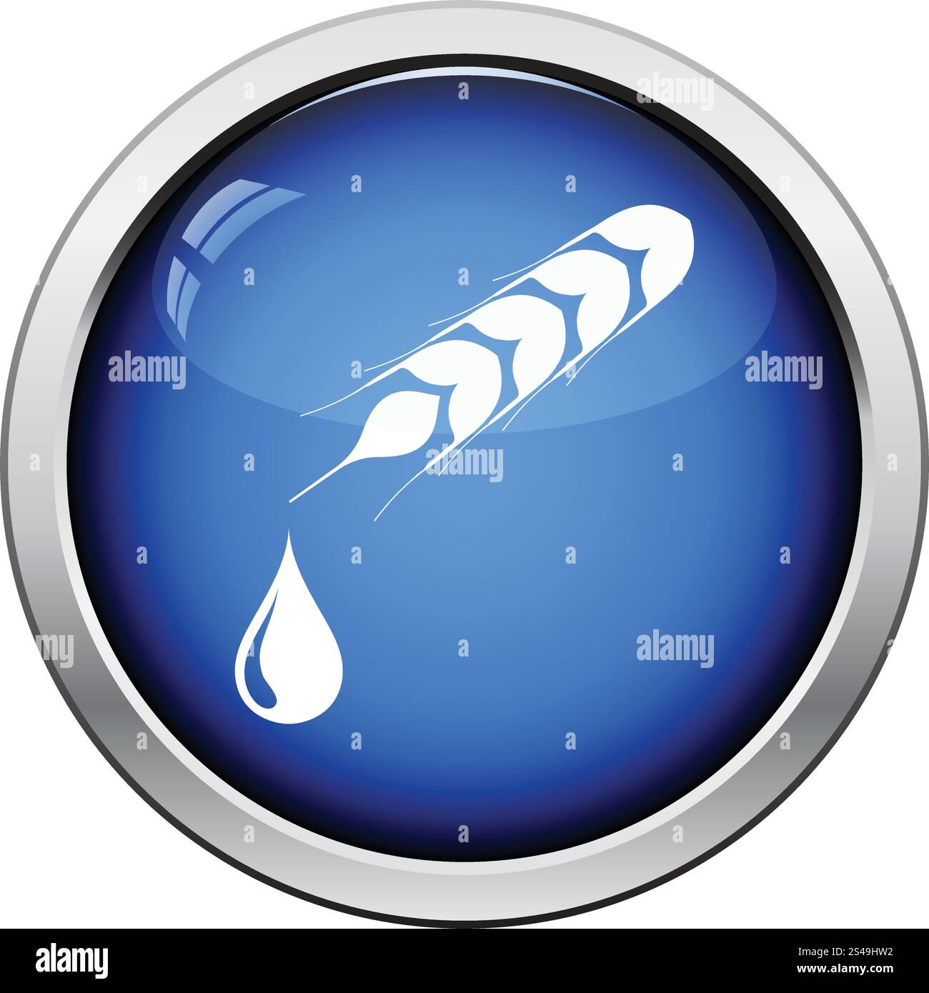 Wheat with drop icon. Glossy button design. Vector illustration Stock ...