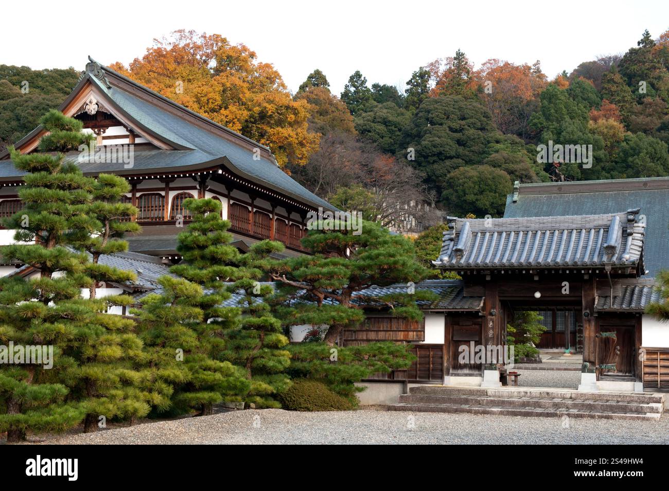Seiryoji Temple is the daimyo feudal lord Ii Naosuke Hikone clan family ...