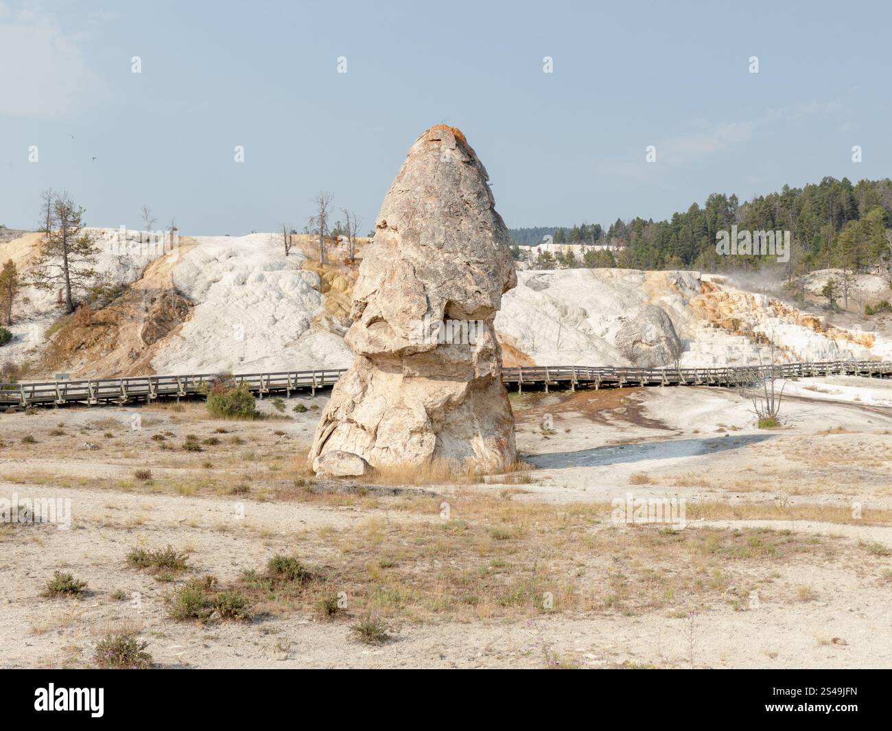 Yellowstone Geyser Liberty Cap Mammoth Hot Springs Mineral Deposit ...
