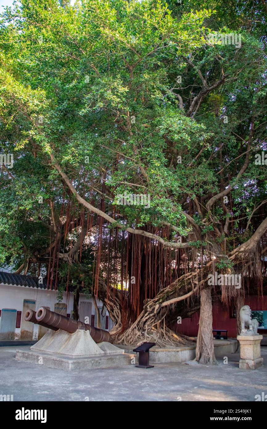 Shantou China 19th Dec 2024: In Min-Yue Nan'ao General's Office ...