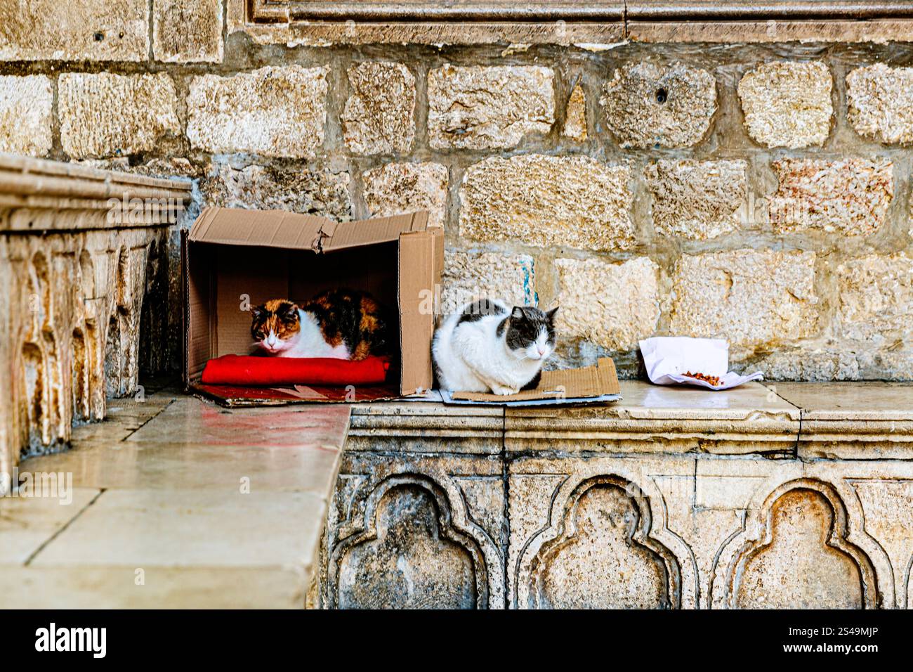 Beloved urban hi-res stock photography and images - Alamy
